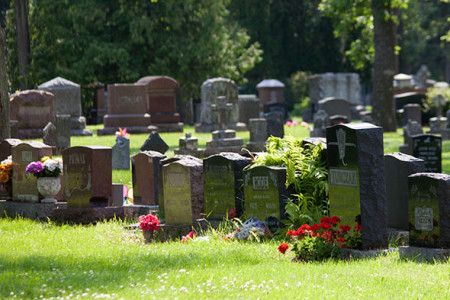 Elmwood Cemetery